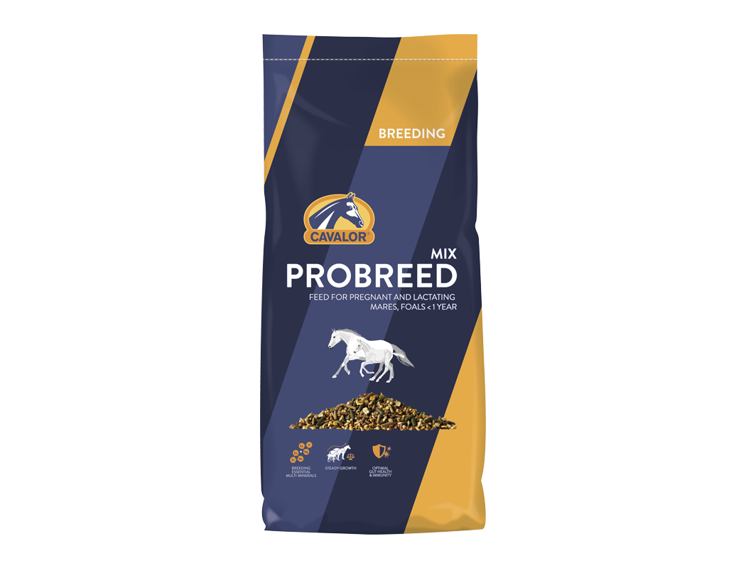 Quick Order – Cavalor Connect